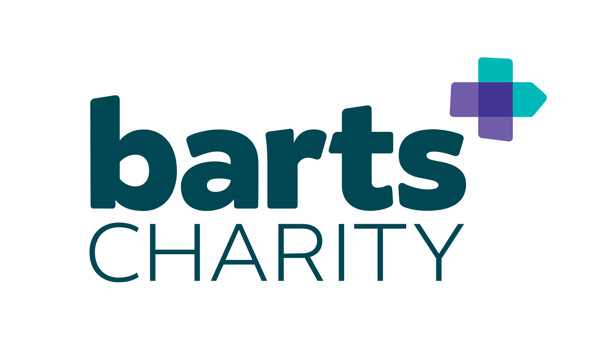 Barts Charity - The Survey Initiative