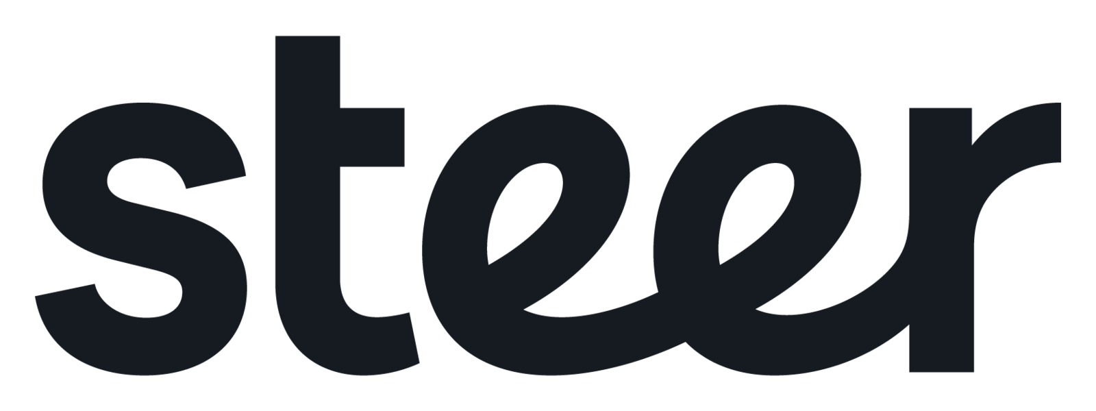 Steer Group - The Survey Initiative